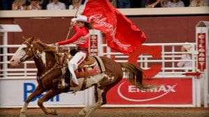 Calgary Stampede Centennial - Travel Maestro