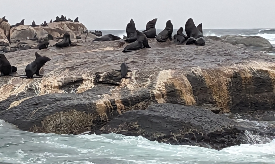 Memorable Adventures in Cape Town from Table Mountain to Robben Island