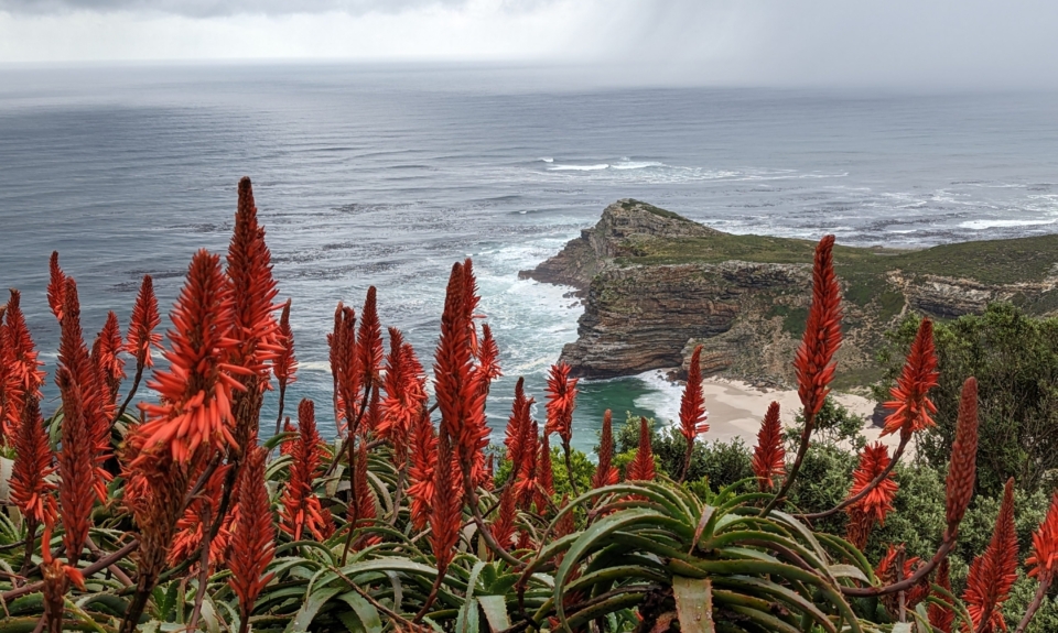 Memorable Adventures in Cape Town from Table Mountain to Robben Island