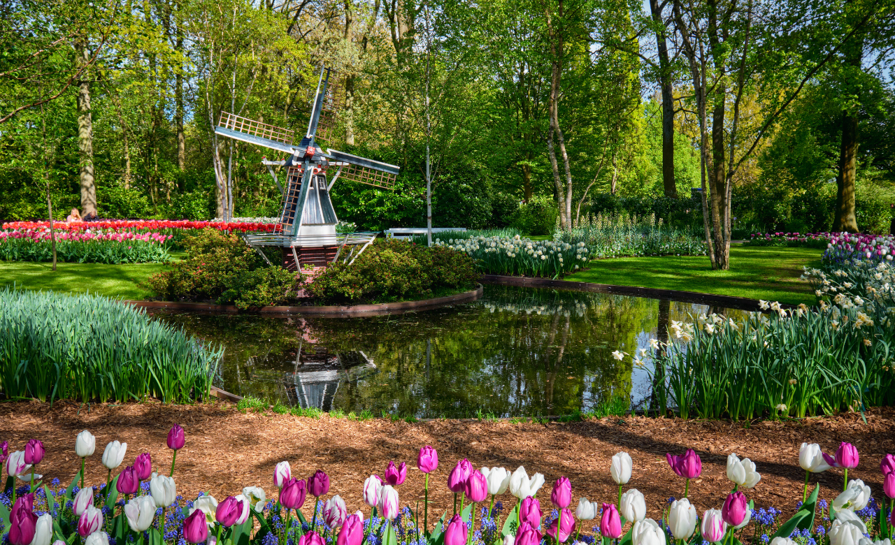 Rejoice in the Colorful Magic of Keukenhof: Your Tulip Time Guide ...
