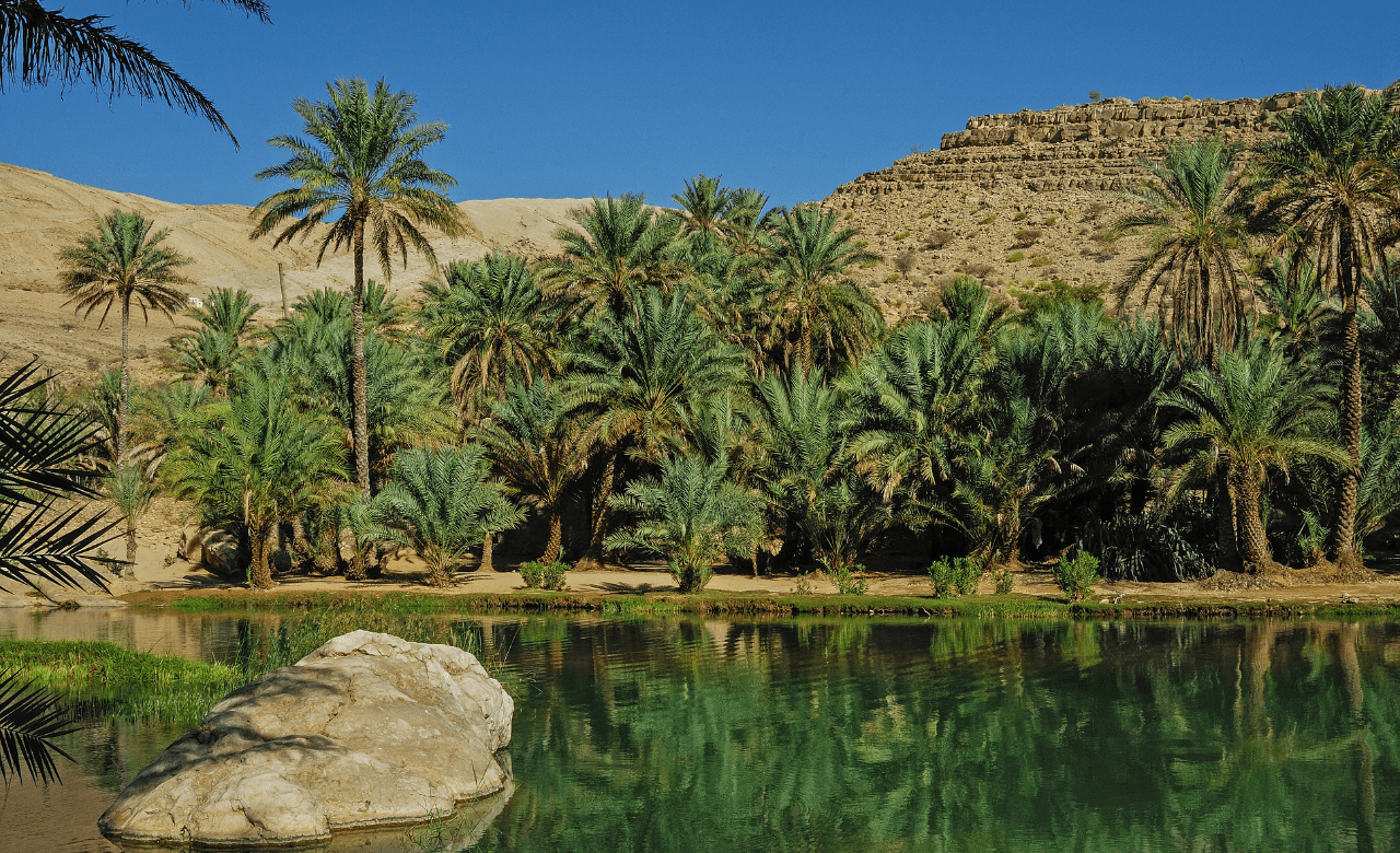 Discover the Cultural Treasures of Oman: 7 Must-See Sights for Curious ...