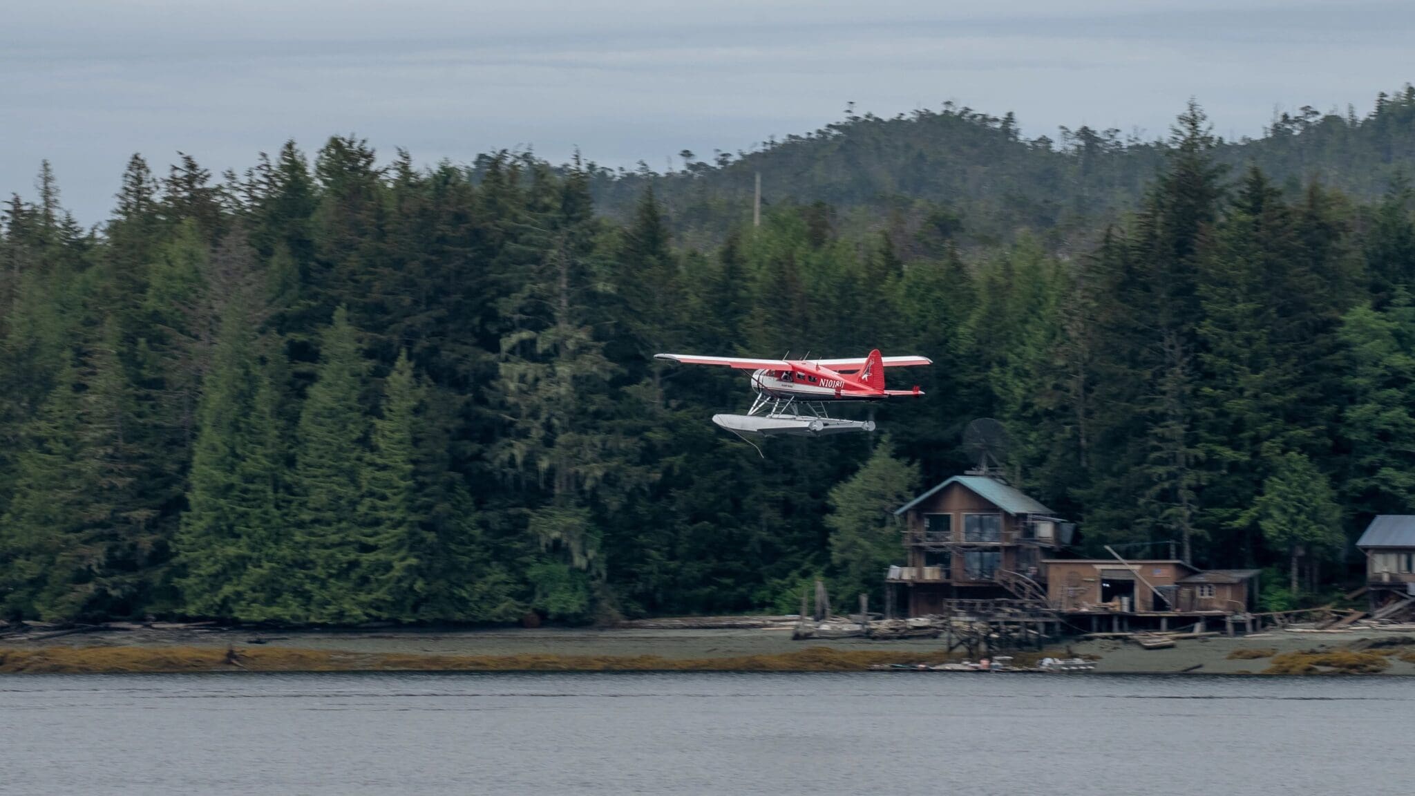 Alaska Glacier Viewing: The Ultimate Bucket List Experience - Covington ...